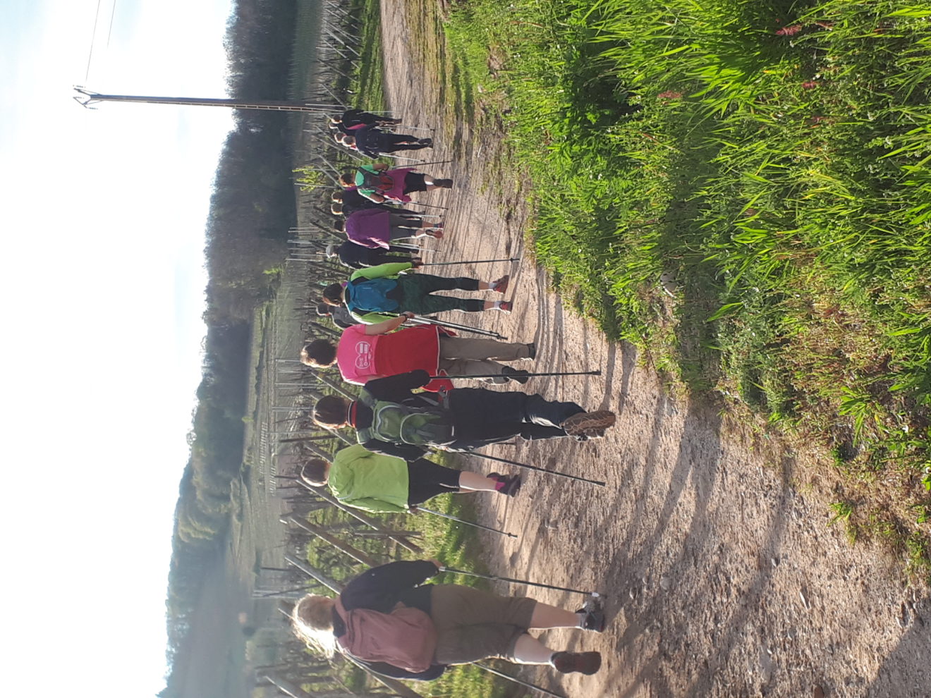 Reprise Marche Nordique - Club Vosgien de Dambach-la-Ville